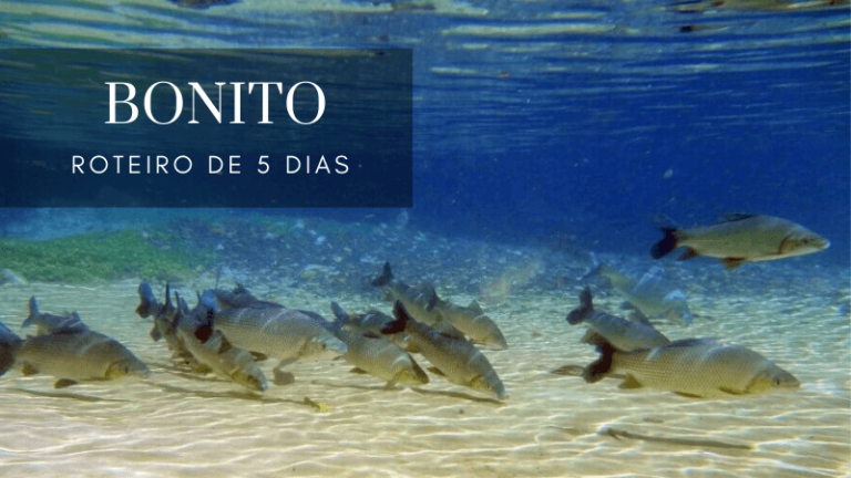 Roteiro completo de 5 dias em Bonito | 1001 Dicas de Viagem